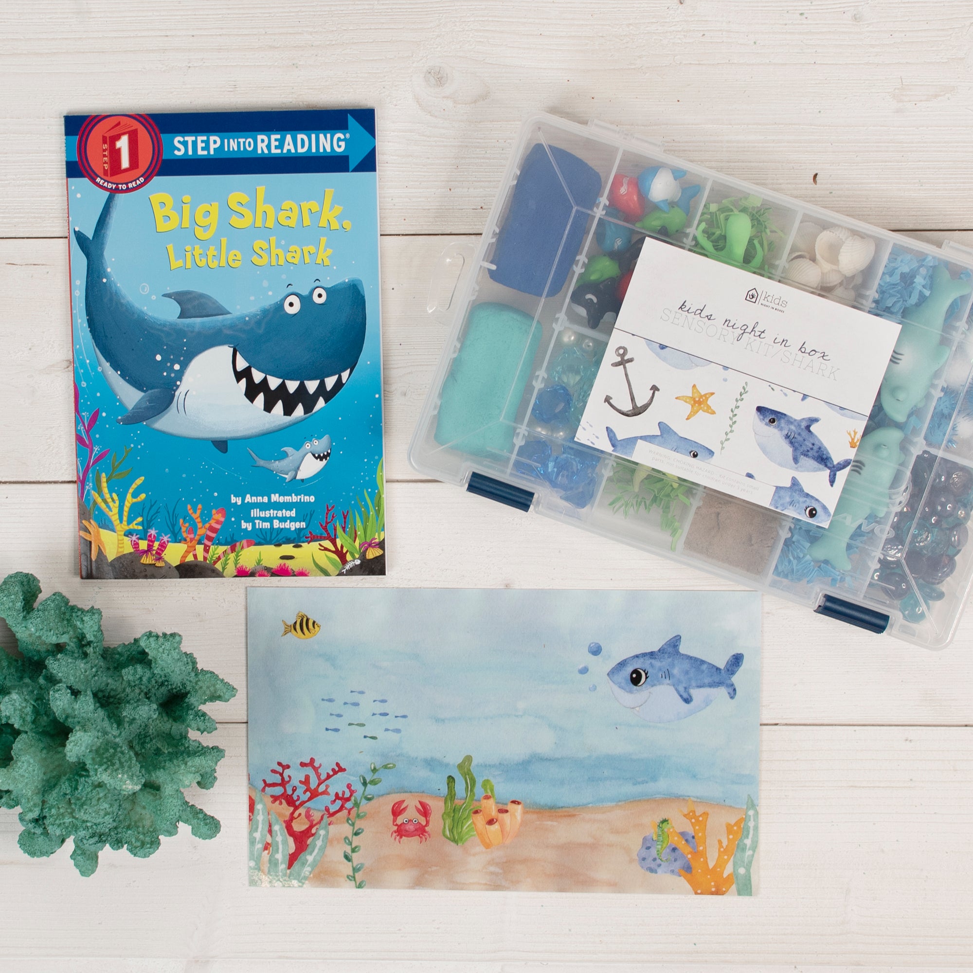 Sensory Kit "Shark" – Neurodiversity Nation